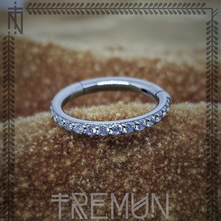 Titanium Hinged Ring with White CZ - PiercingMed