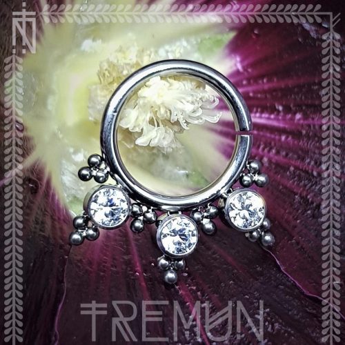 Hinged Ring Rainbow – PiercingMed